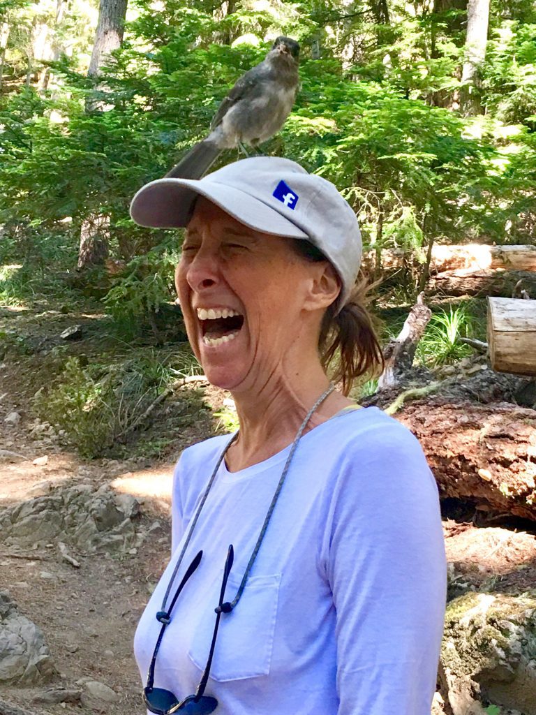 Our Team - Creative Facilitations